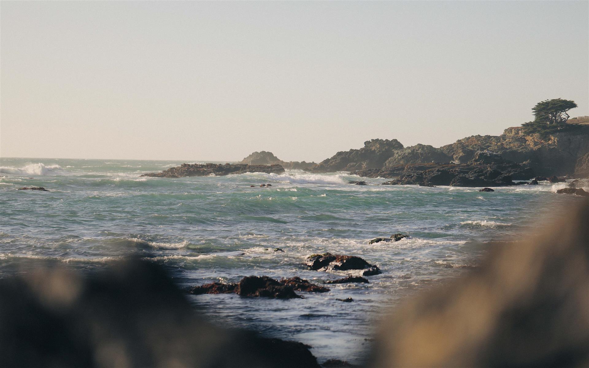 The Sea Ranch Lodge | Official Site