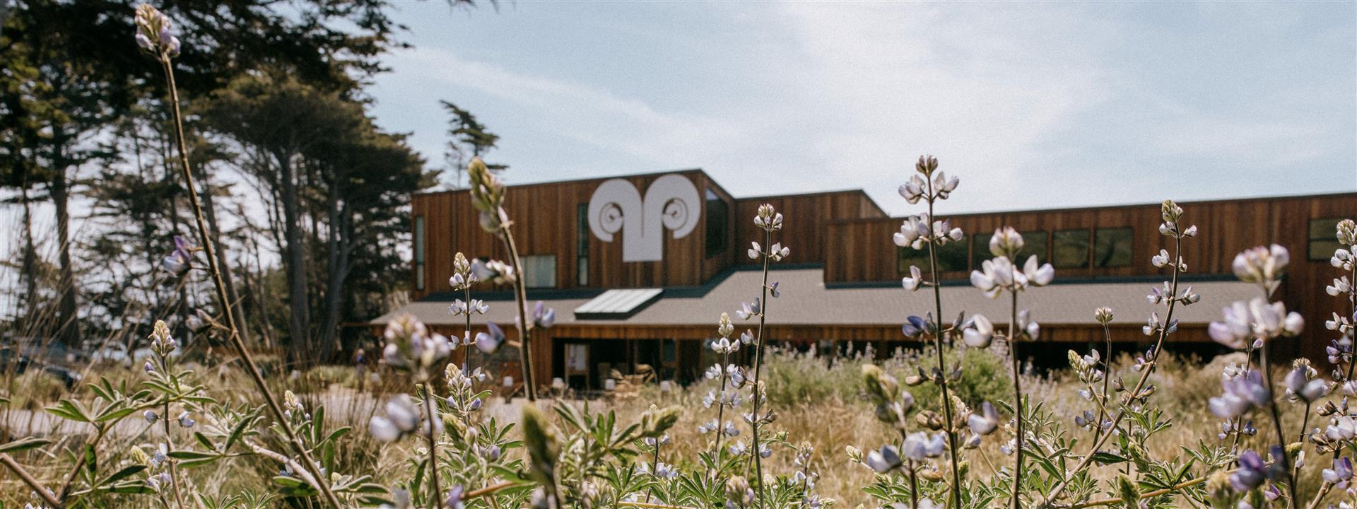 Specials | The Sea Ranch Lodge | Official Site